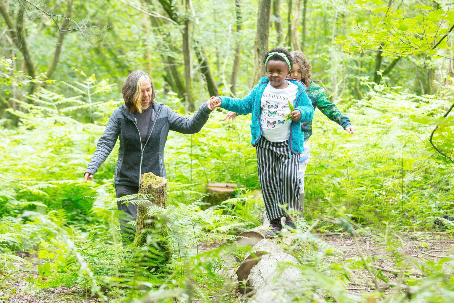 About SENse - SENse Learning